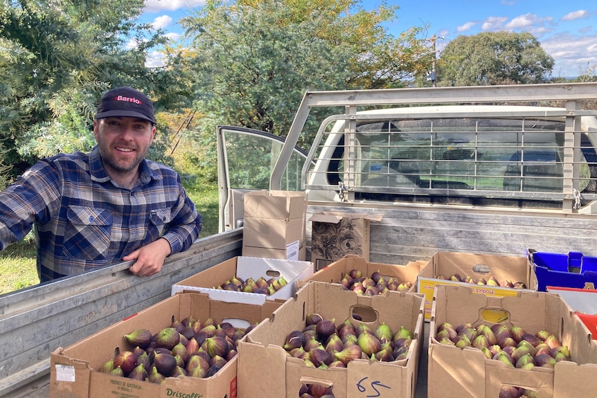 Working with nature in true regenerative fashion – the Sam Vincent ...