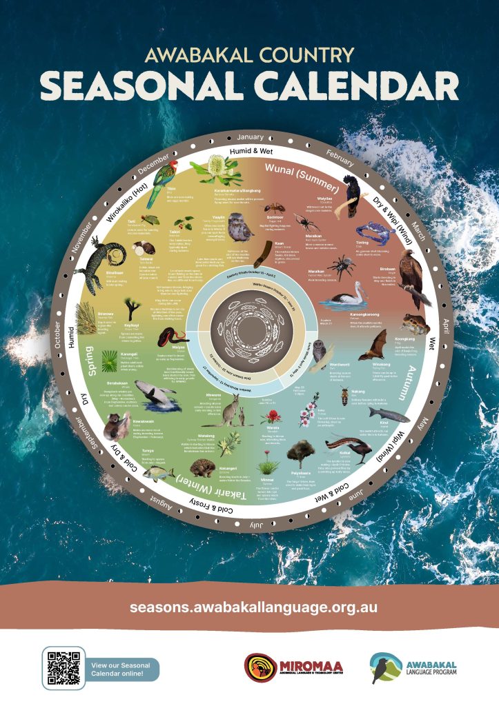 Seasonal calendar, Voice of Country – Munibung Hill Conservation Society